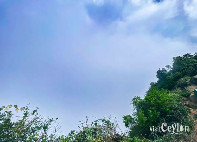 Horton Plains National Park Visitor’s Guide 2025 - Visit Ceylon