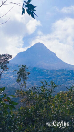 Sri Pada (Adam’s Peak): Complete Pilgrim’s Guide - Visit Ceylon